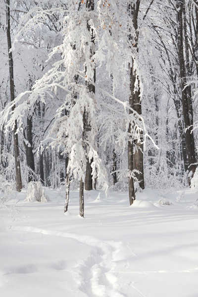 Trei Caldari, o atractie periglaciara – Turul de Weekend